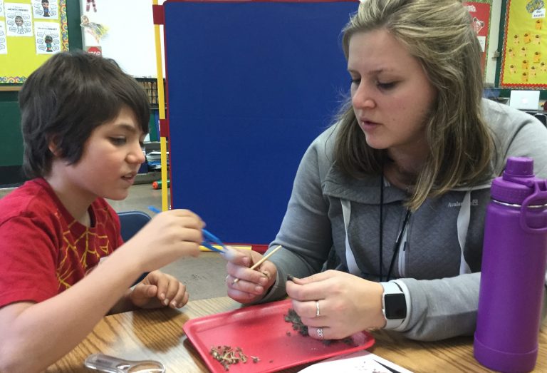 Program Info – Welcome to Lane School